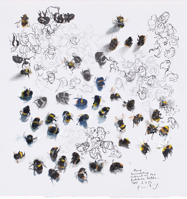 Bees (and the Odd Wasp) in my Bonnet (2016/17) - Kurt Jackson