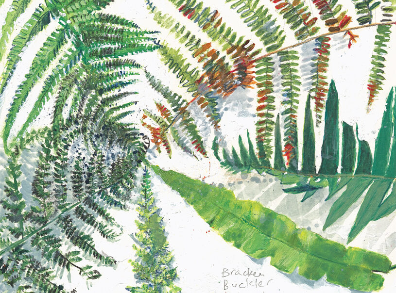 Exhibitions - Kurt Jackson